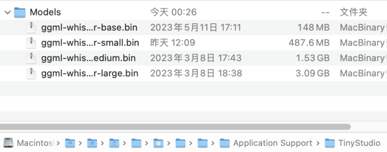 How to manual download models for TinyStudio – TinySudio